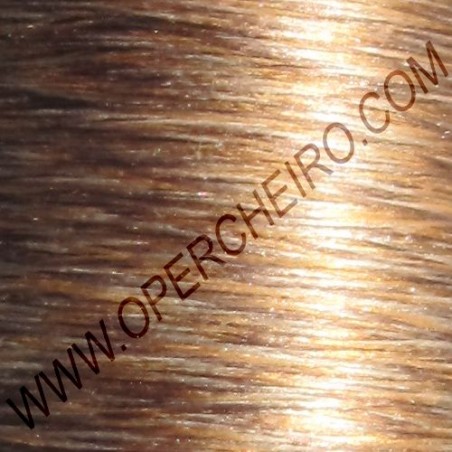 L20 Seda tricolor marrón